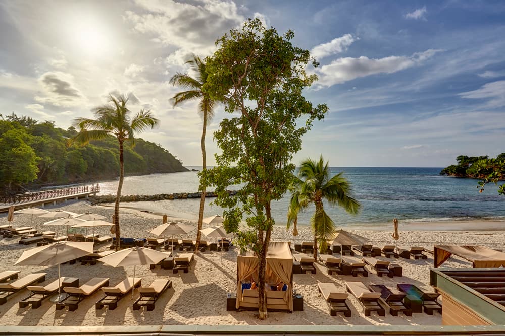 Hotels & Resorts Ownership